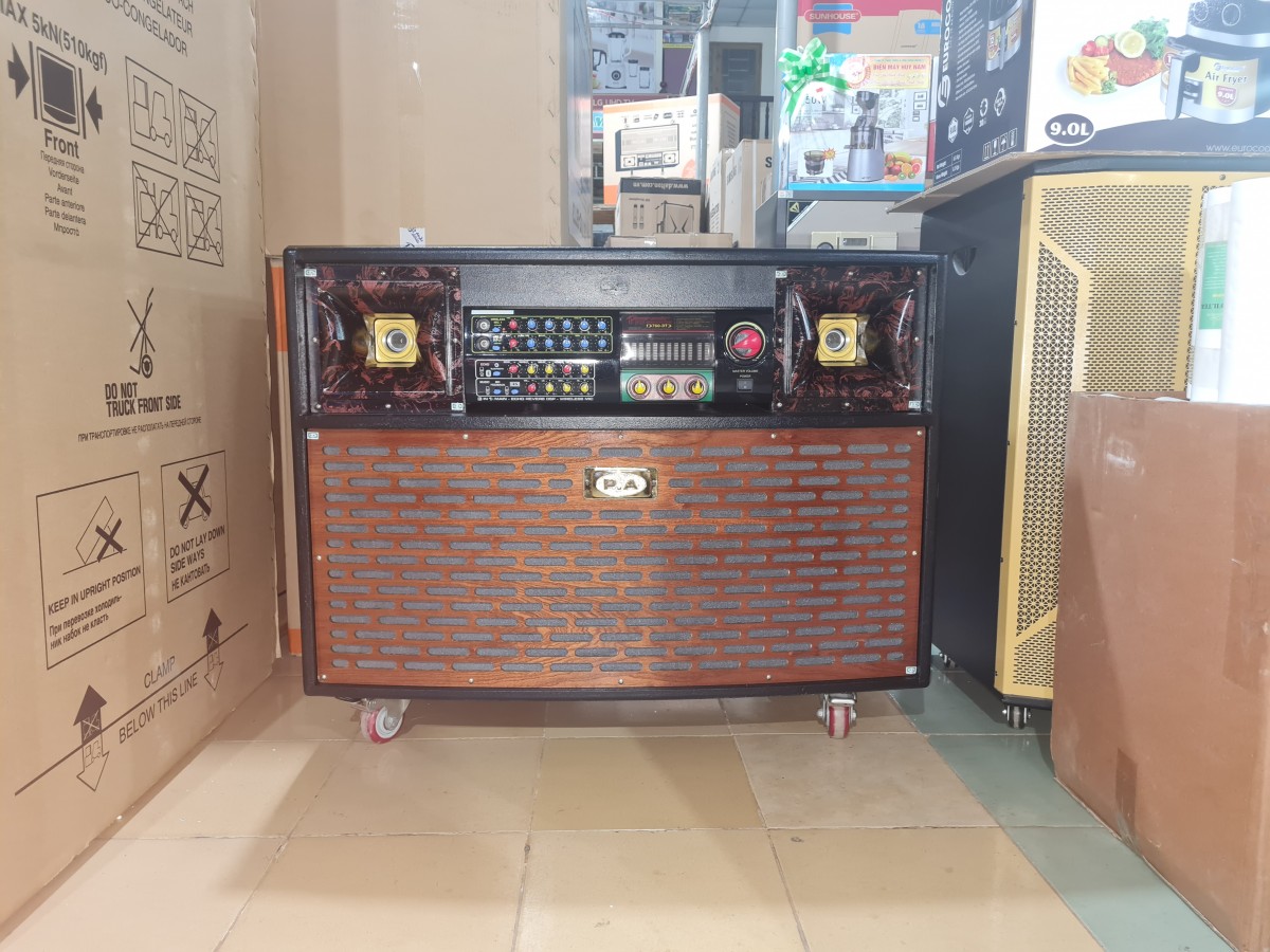 Loa kéo điện PA-13700BT3 Reverb (4t đôi nằm)